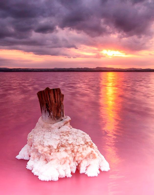 Laguna Rosa de Torrevieja, un espectáculo visual